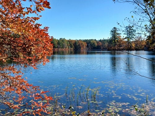Retreat | The Sisters of Our Lady of Mercy